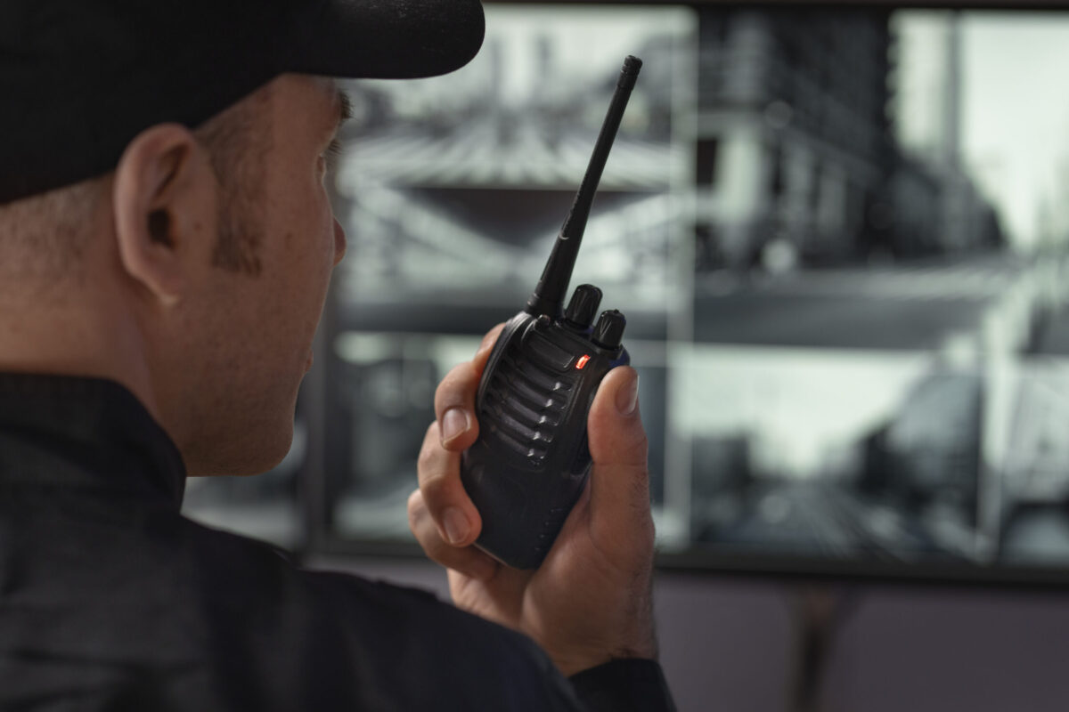 Corporate Security Jobs: Training, Skills, and Types - EP Wired ...